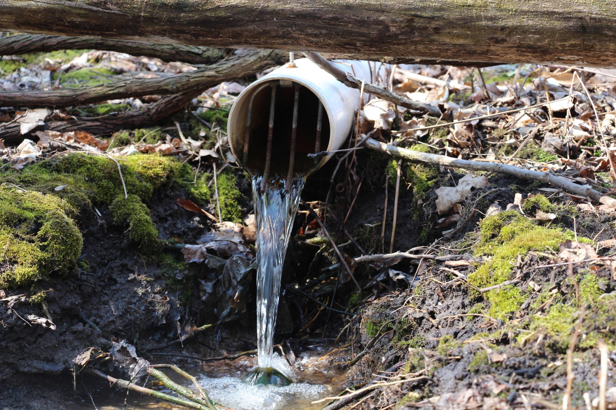 Agriculture Water Quality – Division of Extension