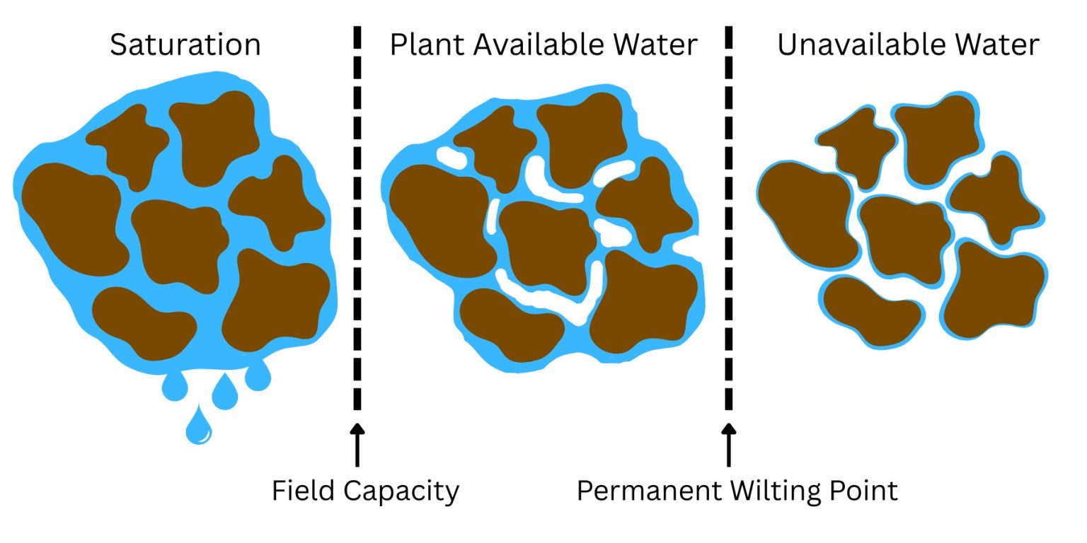 Diving Deep Into Plant Available Water – Agriculture Water Quality